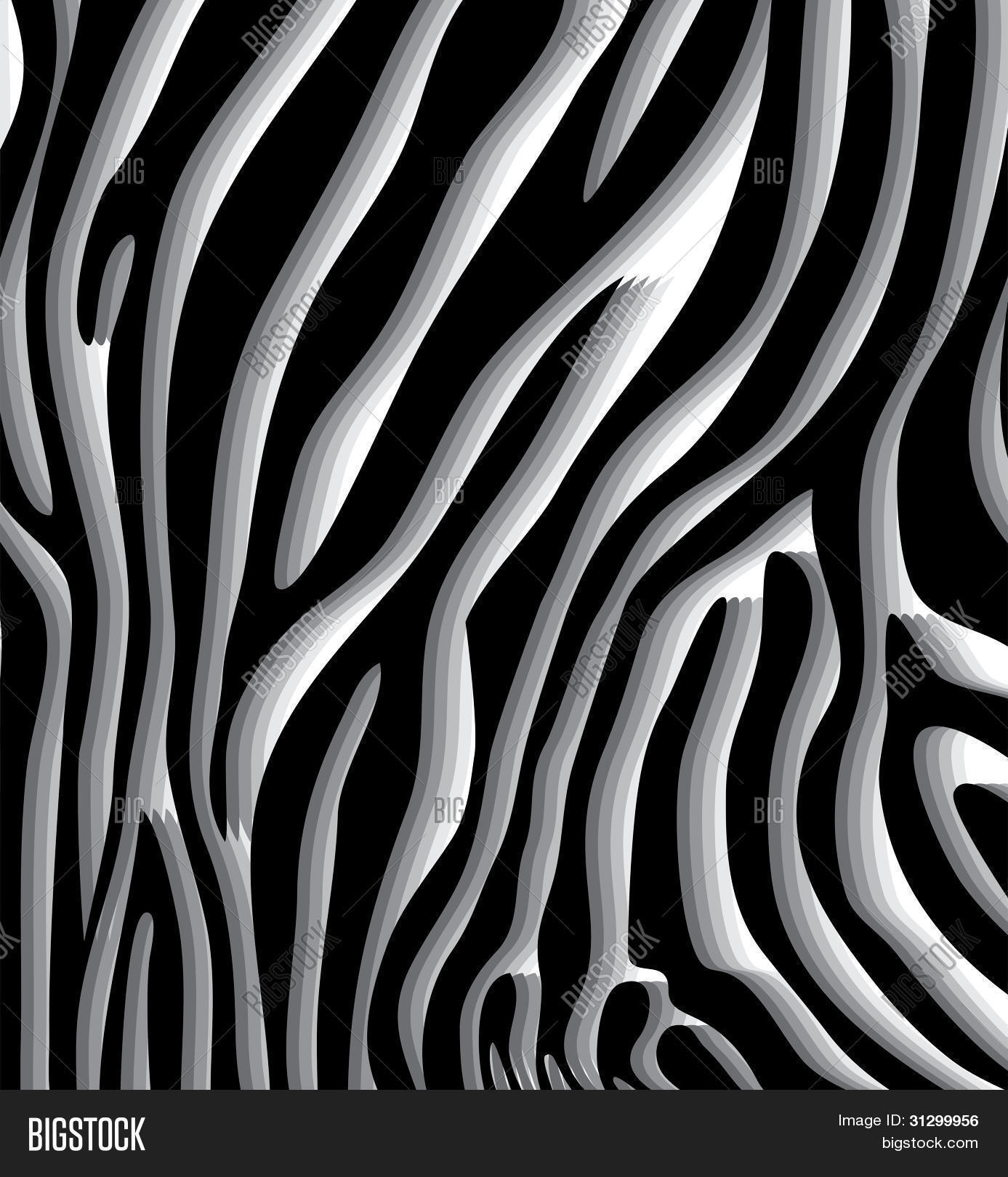 벡터 및 사진(무료 체험) | Bigstock