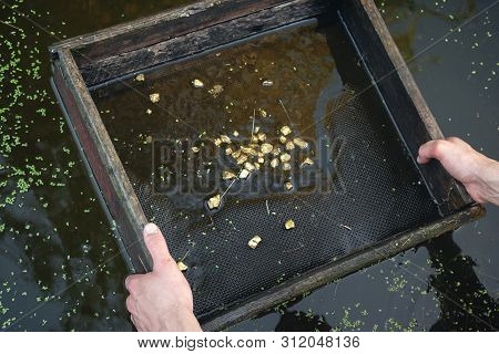 Sifting Soil Water Image & Photo (Free Trial) | Bigstock
