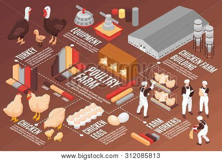 Chicken Poultry Farm Vector & Photo (Free Trial) | Bigstock