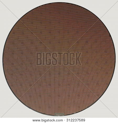 Frontal Shot Wafer Image & Photo (Free Trial) | Bigstock