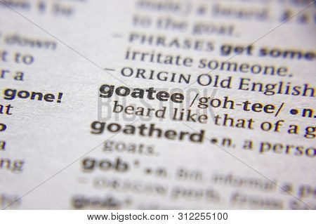 Goatee Images, Illustrations & Vectors (Free) - Bigstock