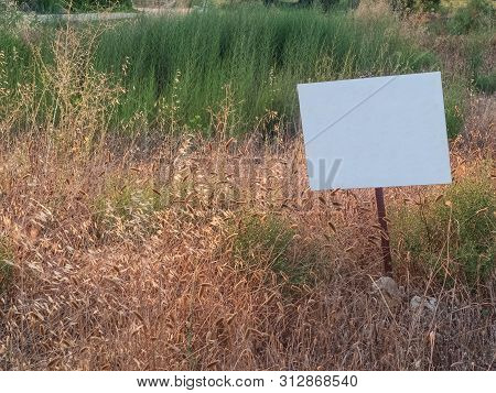Imagen y foto Weed-covered Field (prueba gratis) | Bigstock
