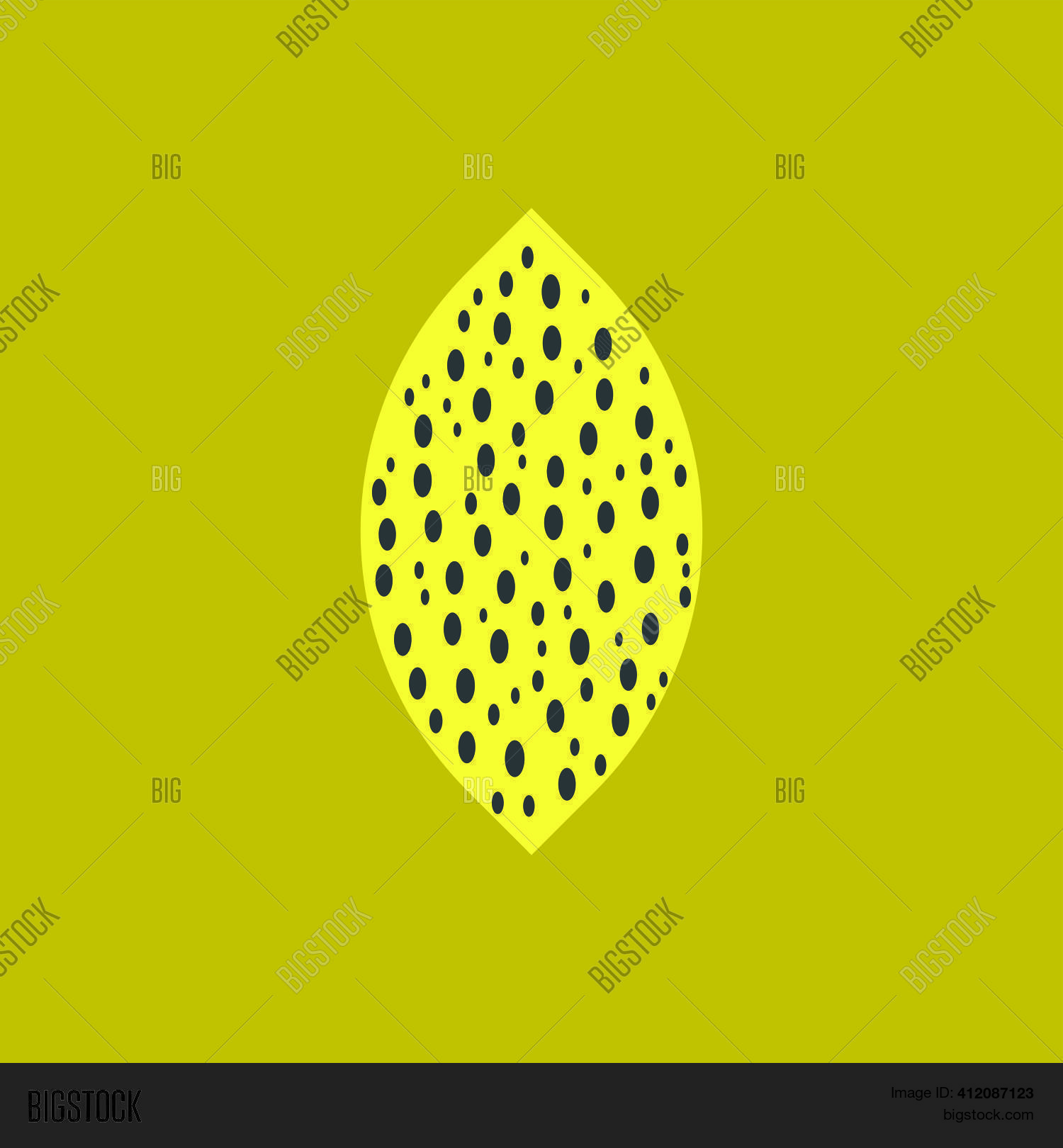 Lemon Flat Icon. Sour Vector & Photo (Free Trial) | Bigstock