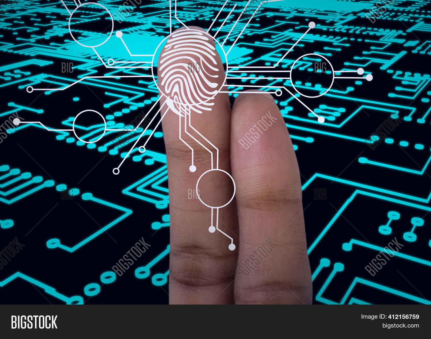Human Finger Scanning Image & Photo (Free Trial) | Bigstock