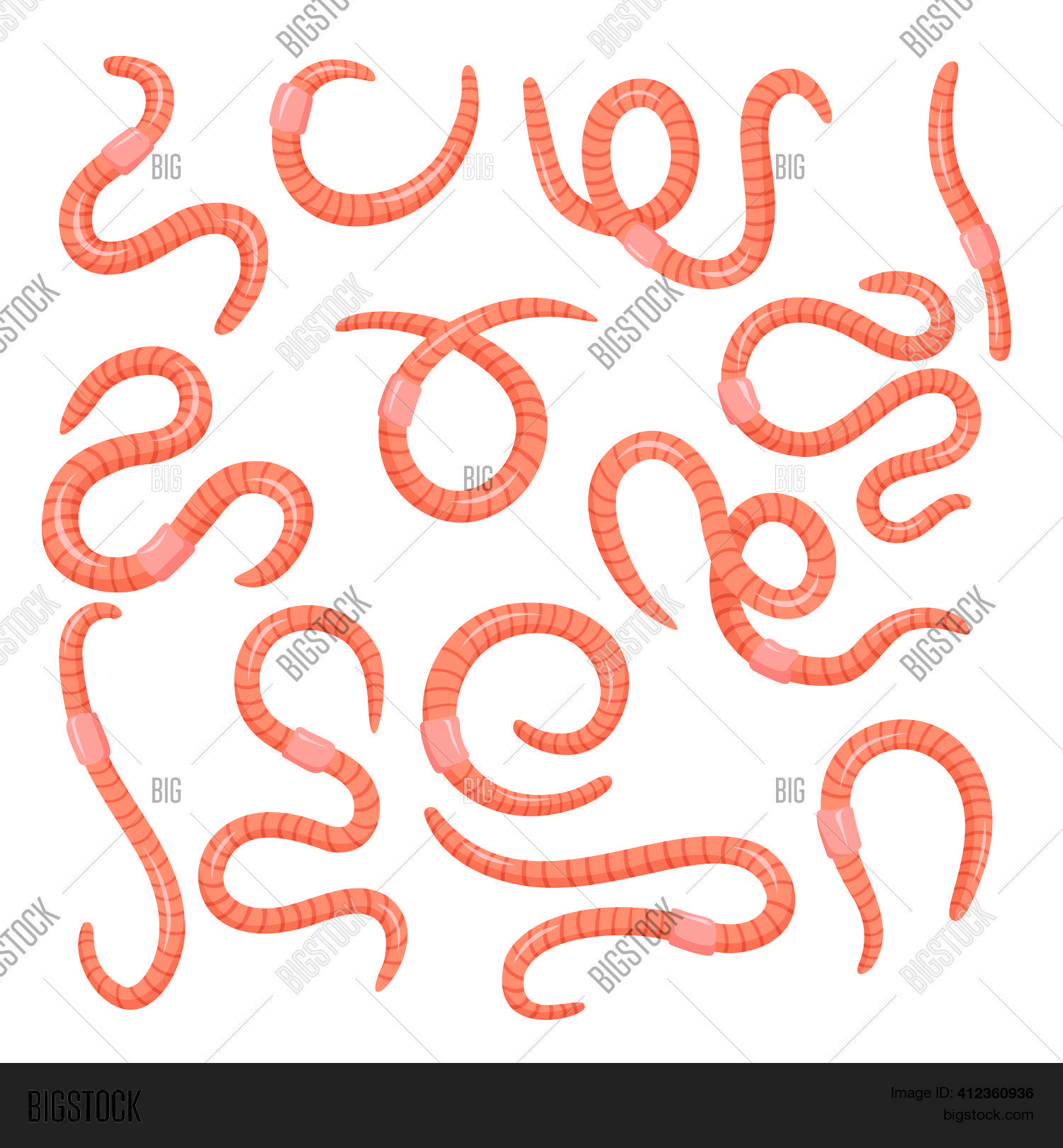 Cartoon Pink Worms Vector & Photo (Free Trial) | Bigstock