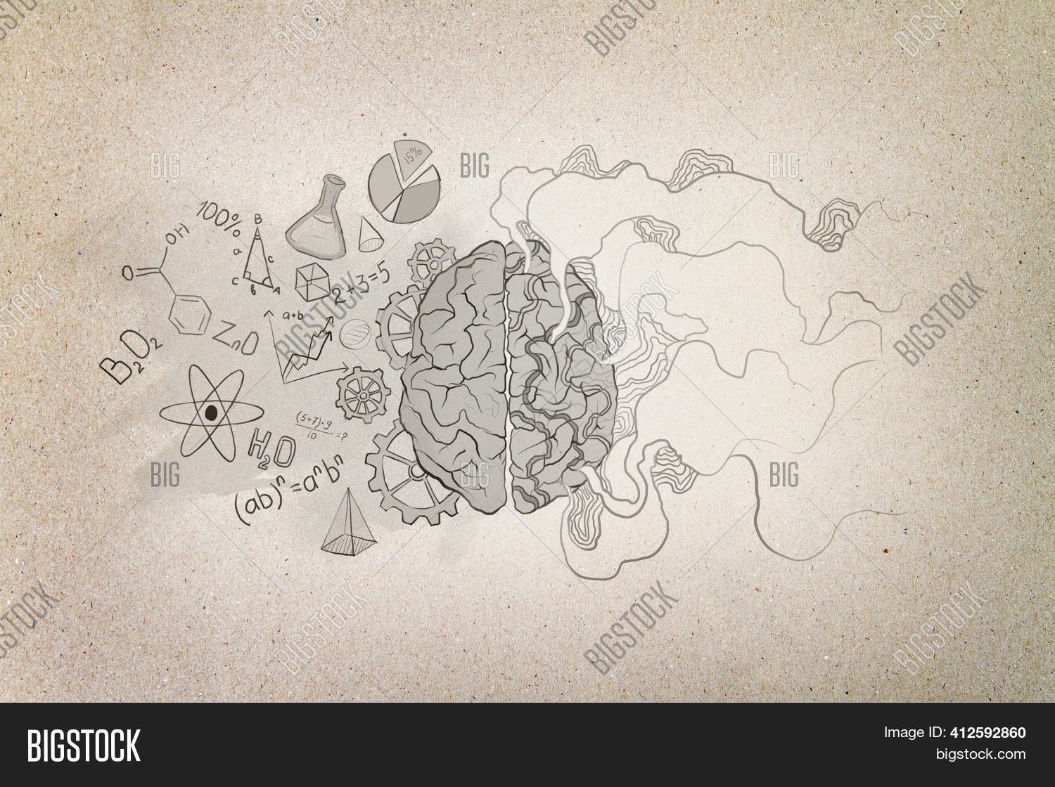 Illustration Brain Image & Photo (Free Trial) | Bigstock