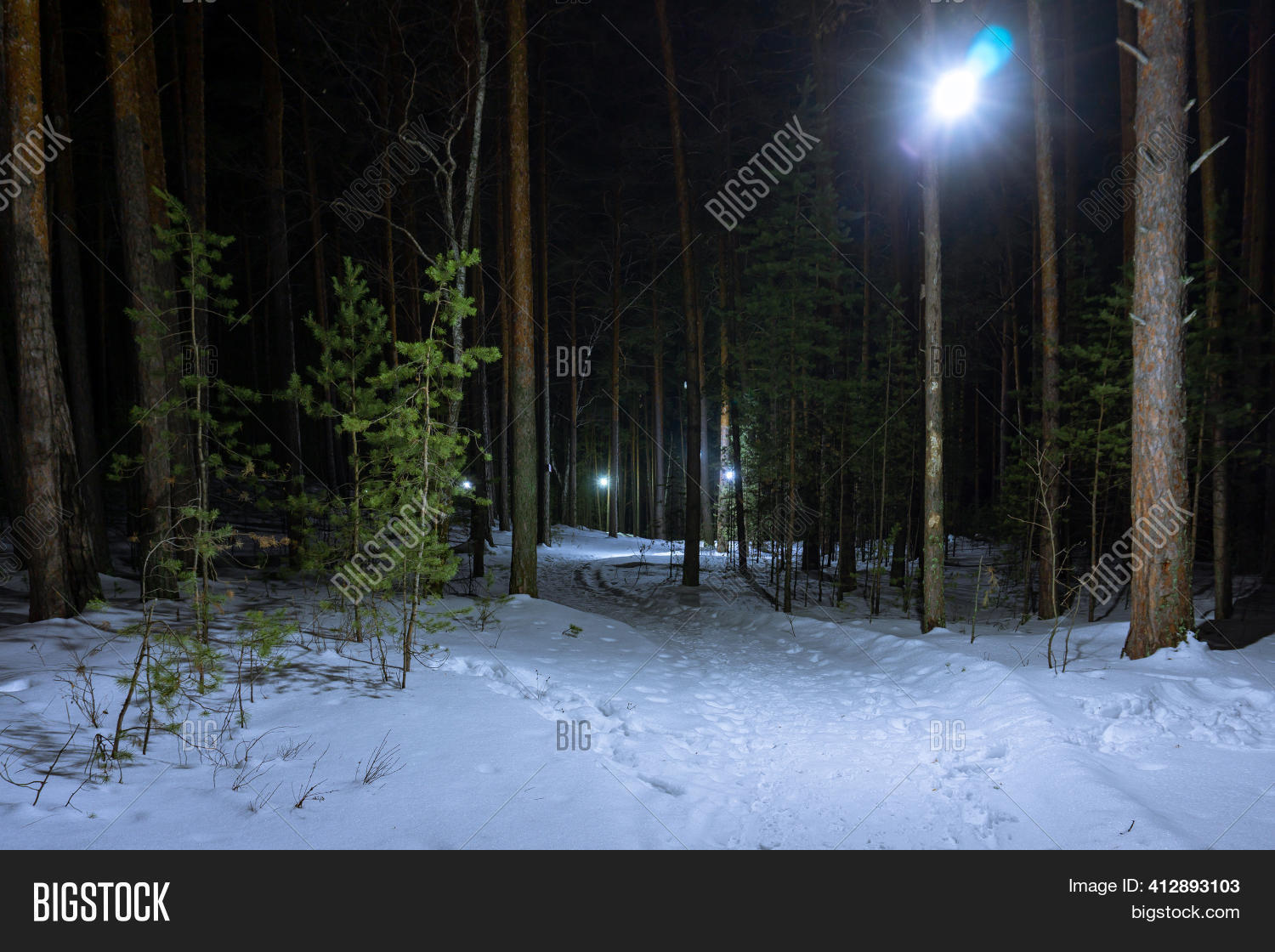 Illuminated Path Image & Photo (Free Trial) | Bigstock
