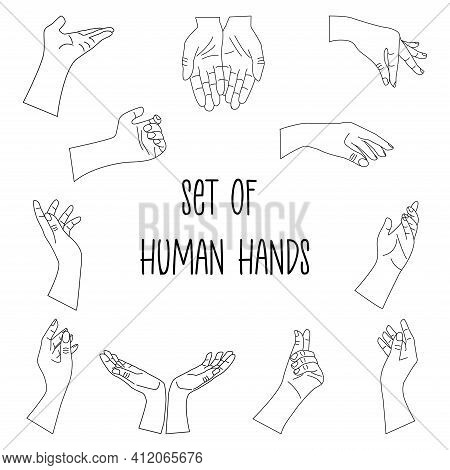 Set Human Hands Wrist Vector & Photo (Free Trial) | Bigstock