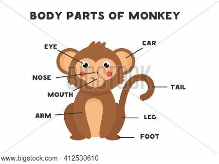 Body Parts Cute Vector & Photo (Free Trial) | Bigstock