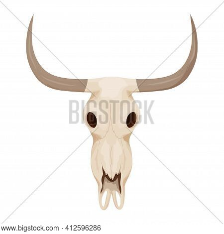 Cow, Bull Skull Vector & Photo (Free Trial) | Bigstock
