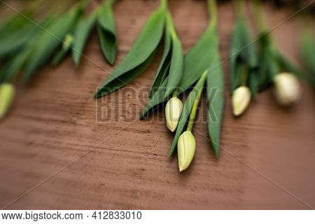 Harvesting Storing Image & Photo (Free Trial) | Bigstock