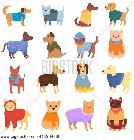 Dog Clothes Images, Illustrations & Vectors (Free) - Bigstock