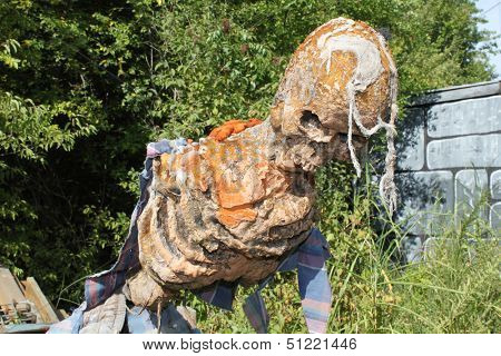 Decomposed Skeleton Image & Photo (Free Trial) | Bigstock