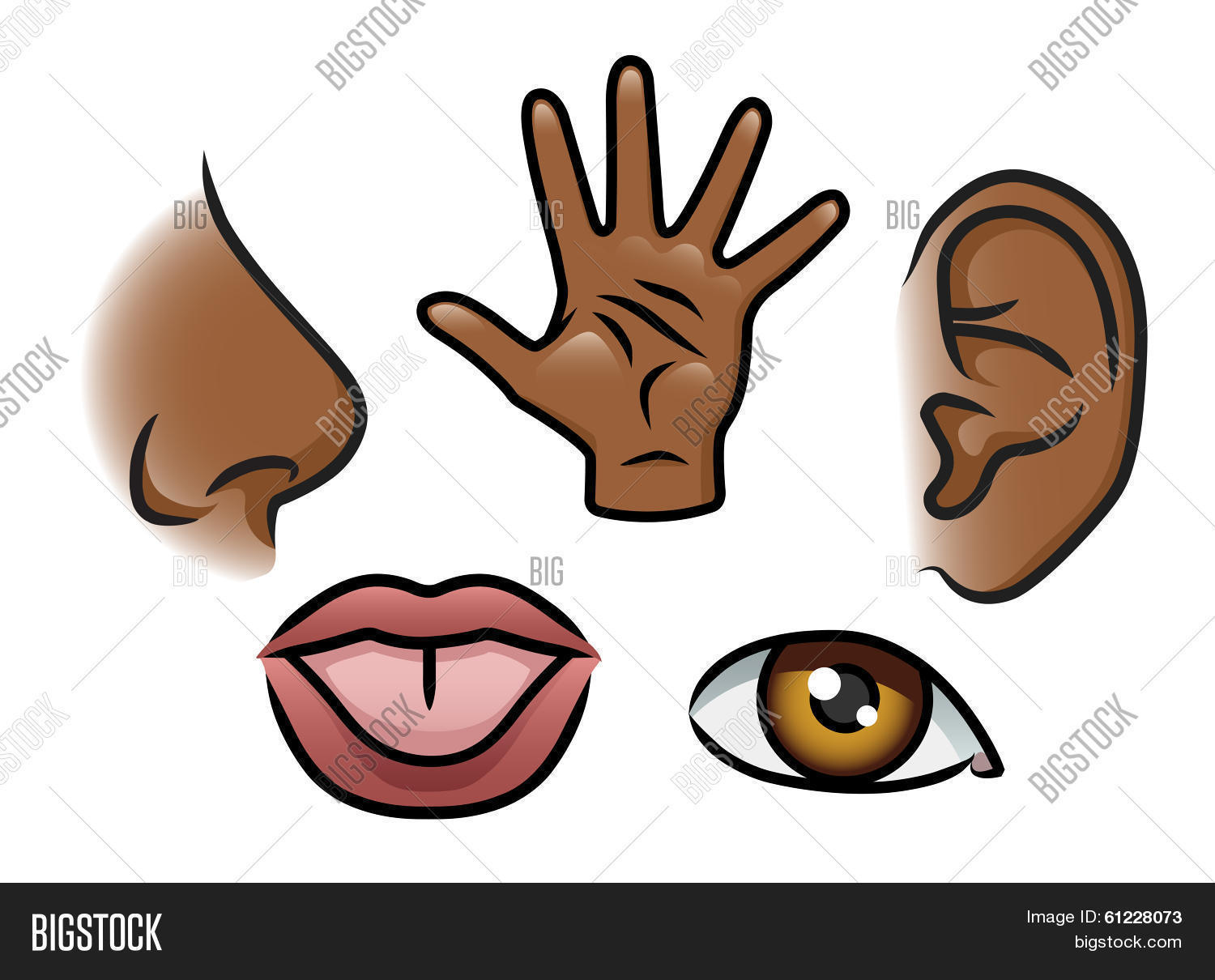 Five Senses Vector & Photo (Free Trial) | Bigstock