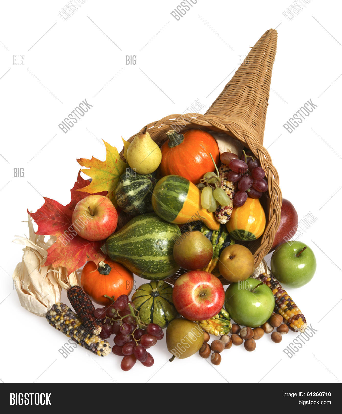 Cornucopia Full Quash Image & Photo (Free Trial) | Bigstock