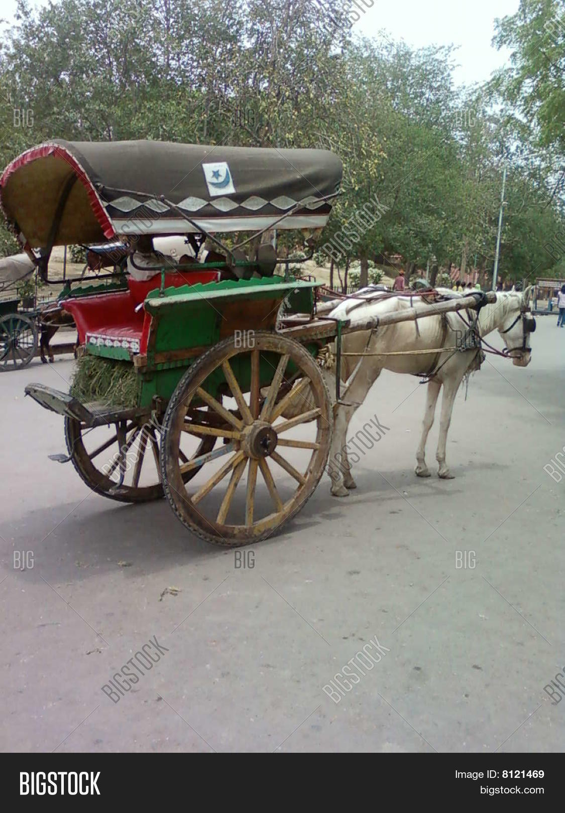 Tonga Image & Photo (Free Trial) | Bigstock