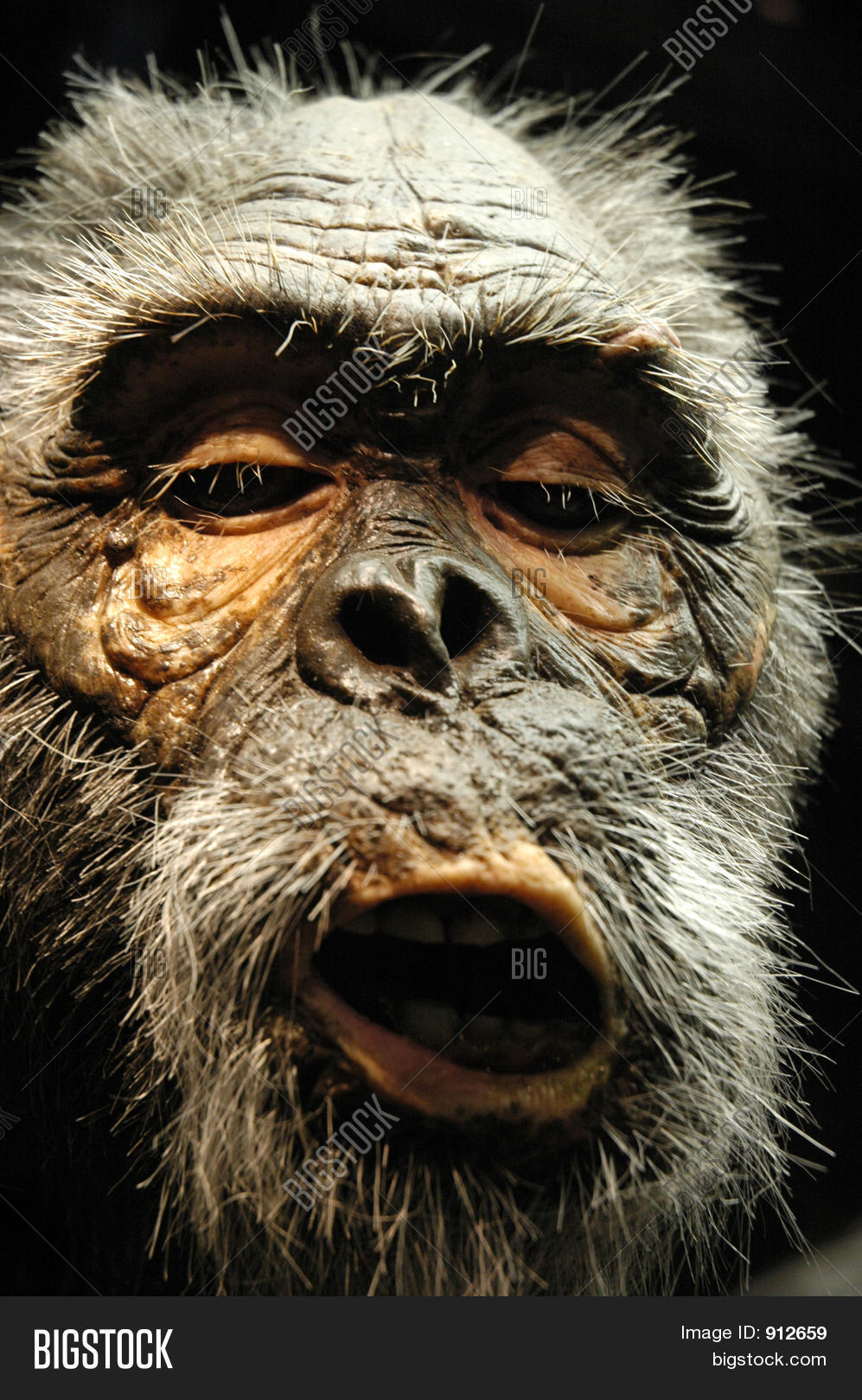 Primitive Man Image & Photo (Free Trial) | Bigstock