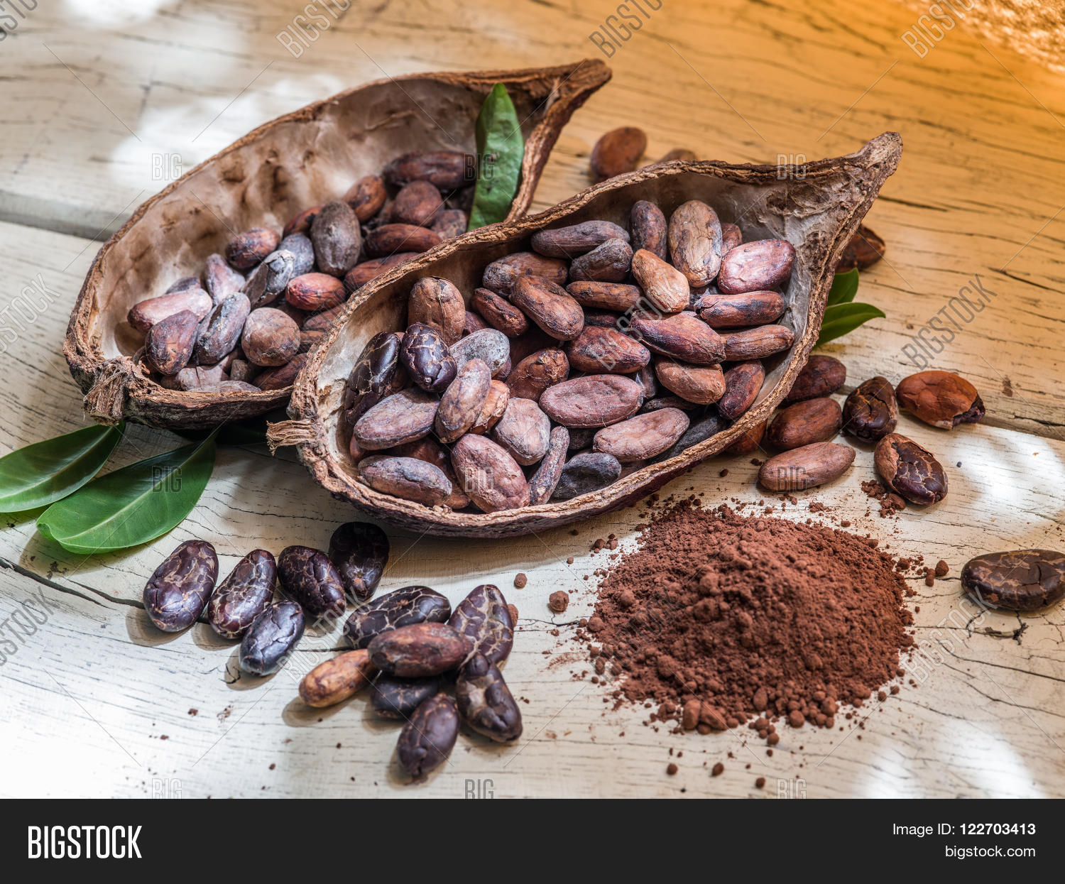 Cocoa Powder Cocao Image & Photo (Free Trial) | Bigstock