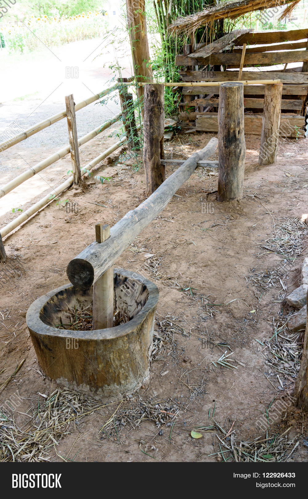 Traditional Rice Image & Photo (Free Trial) | Bigstock