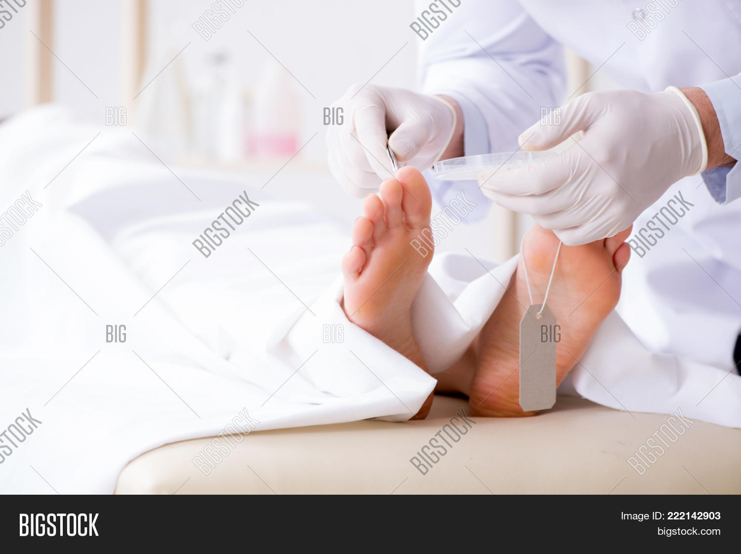 Police Coroner Image & Photo (Free Trial) | Bigstock