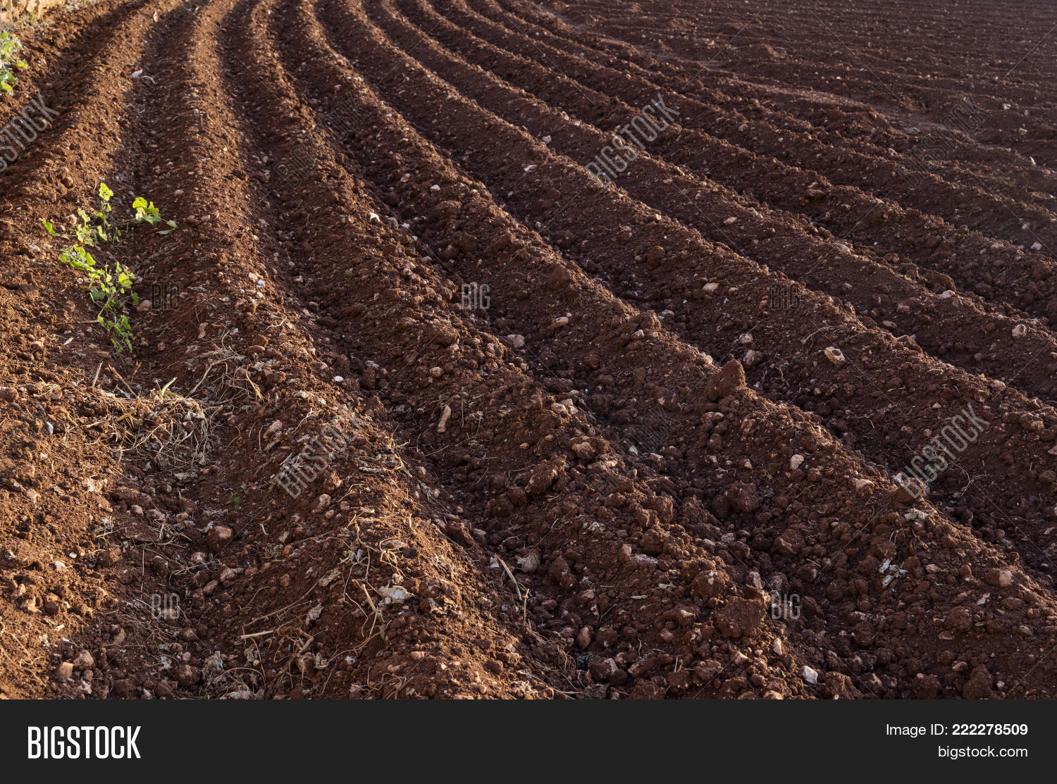 View Plowed Land. Image & Photo (Free Trial) | Bigstock