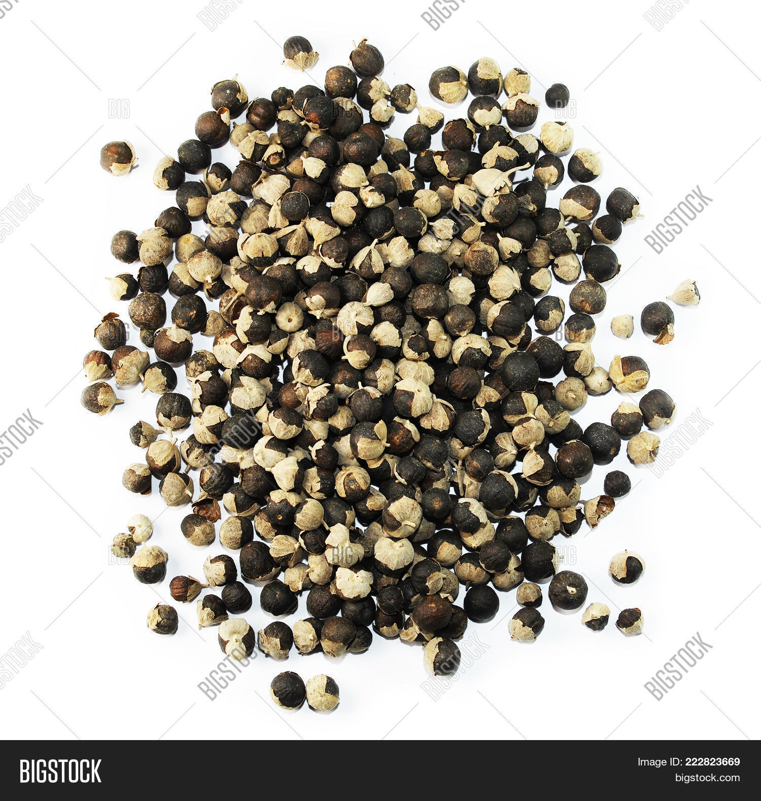 Imagen y foto Fructus Viticis, (prueba gratis) | Bigstock