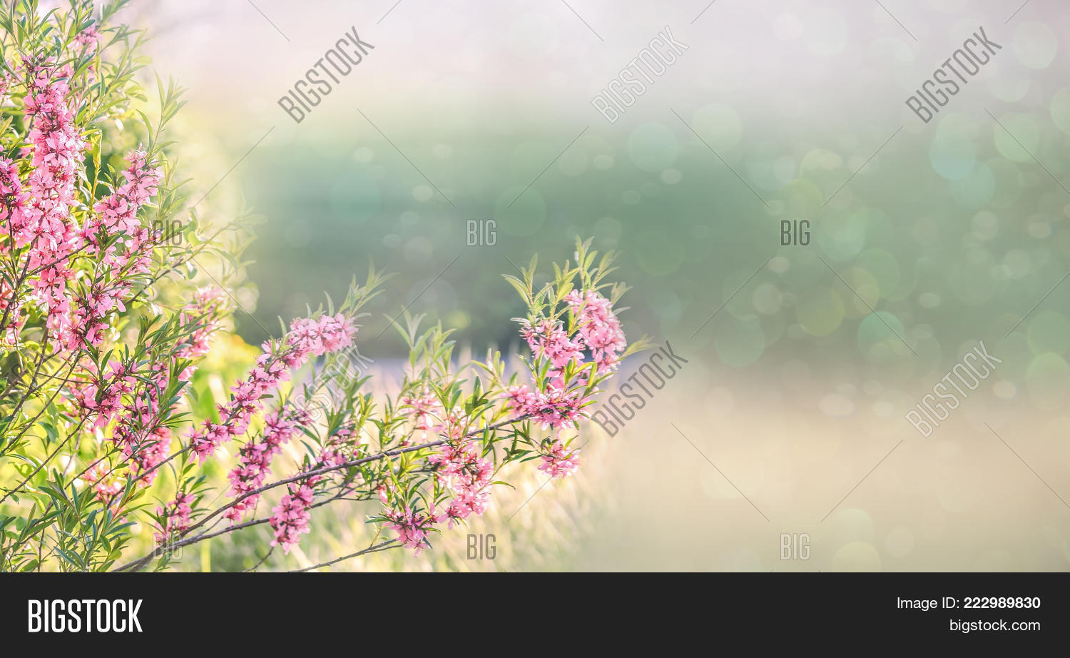 Spring Natural Image & Photo (Free Trial) | Bigstock