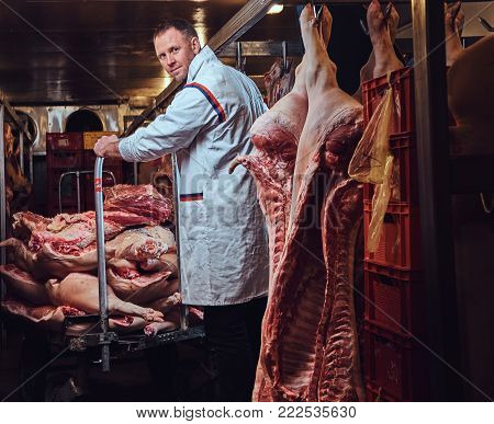 Butcher Dressed White Image & Photo (Free Trial) | Bigstock