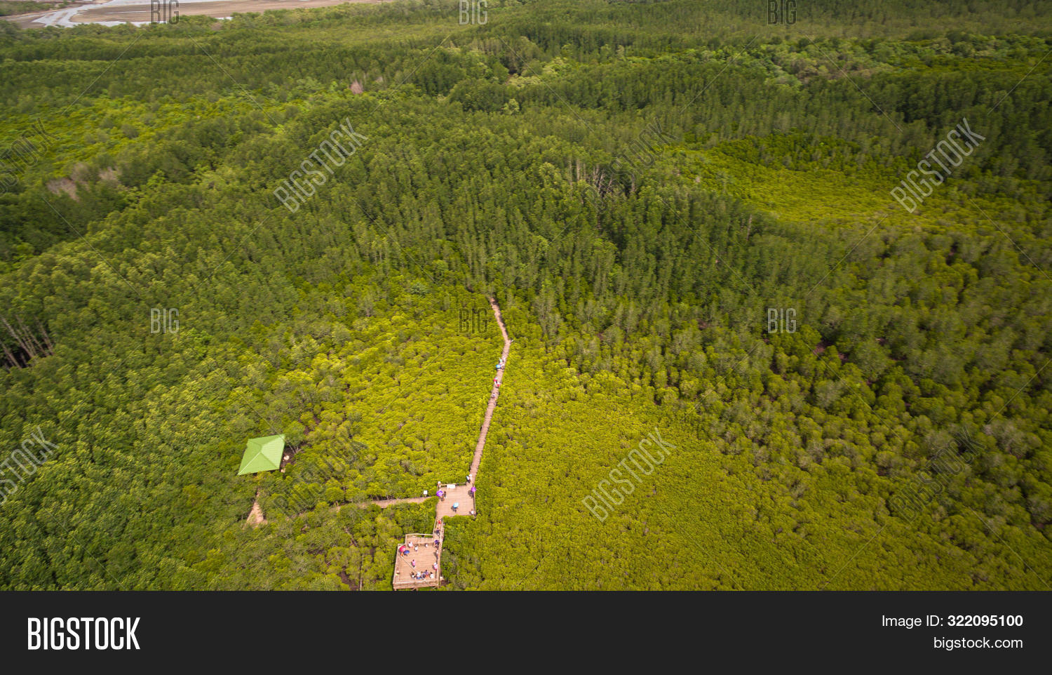 Small Wooden Bridge Image & Photo (Free Trial) | Bigstock