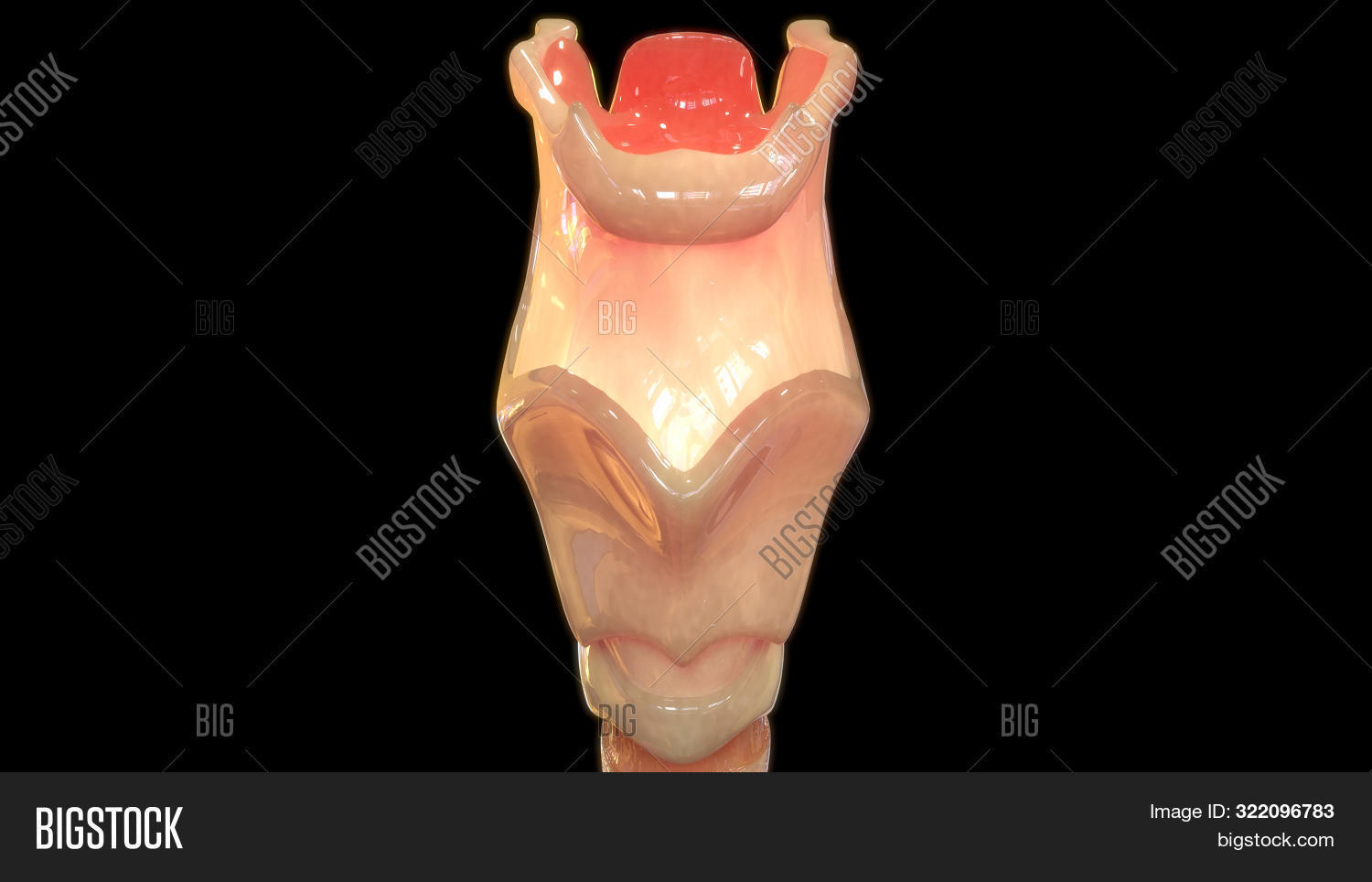 3d Illustration Image & Photo (Free Trial) | Bigstock