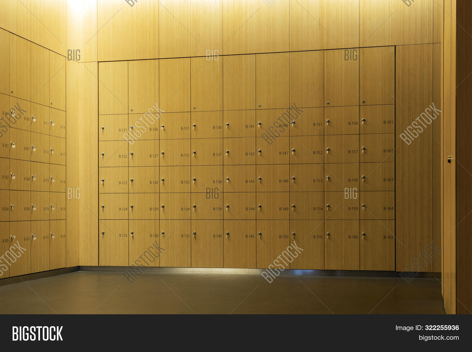 Inserted Lockers Wall Image & Photo (Free Trial) | Bigstock