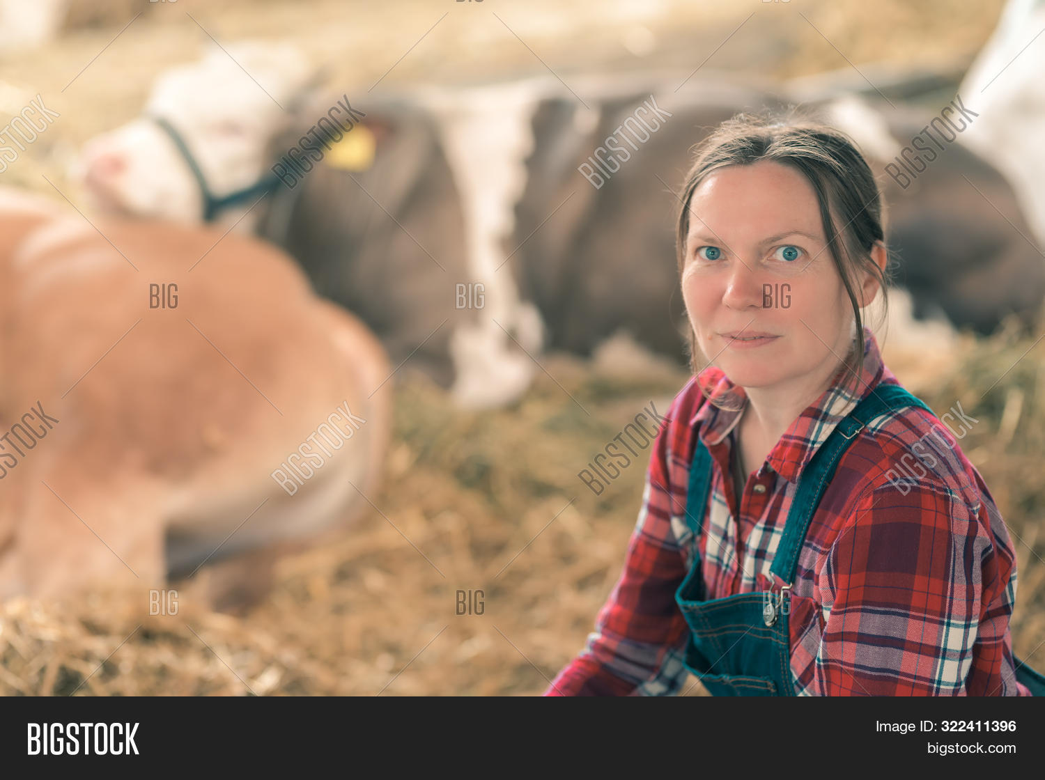 Female Farmer On Cow Image & Photo (Free Trial) | Bigstock