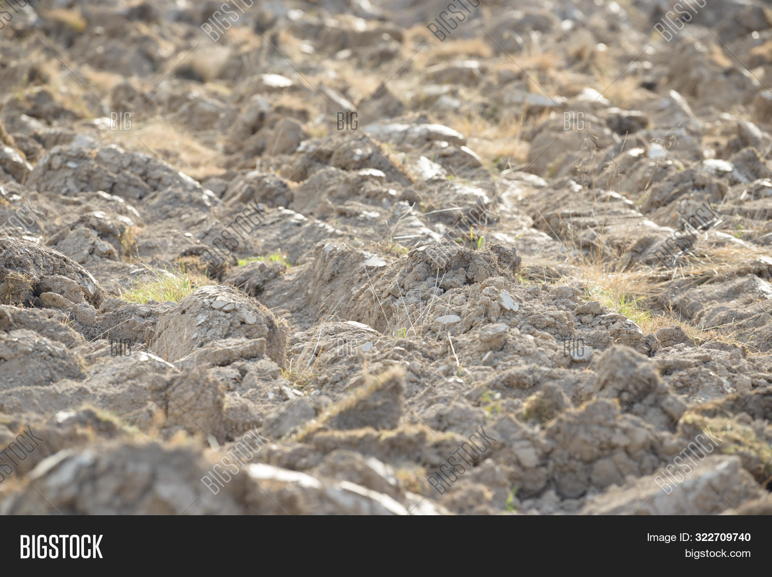 Arable Land Image & Photo (Free Trial) | Bigstock