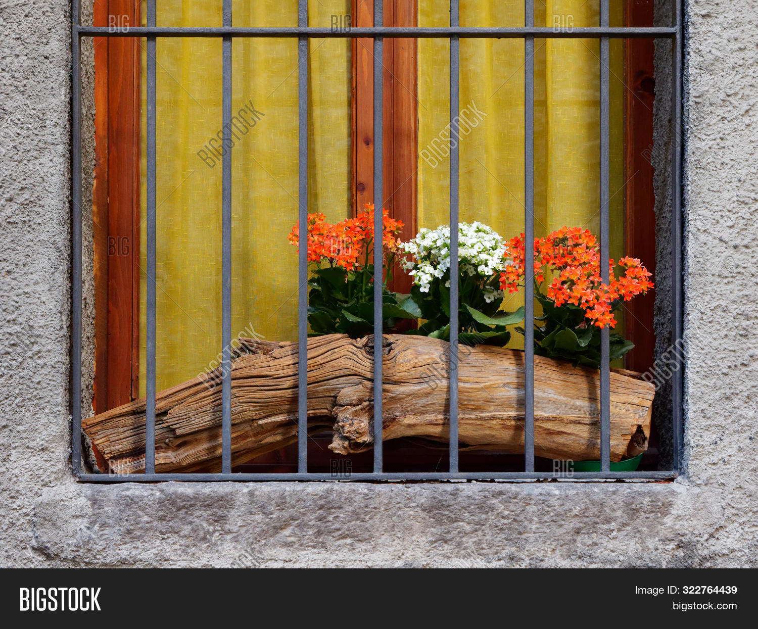 Beautiful Window Image & Photo (Free Trial) | Bigstock