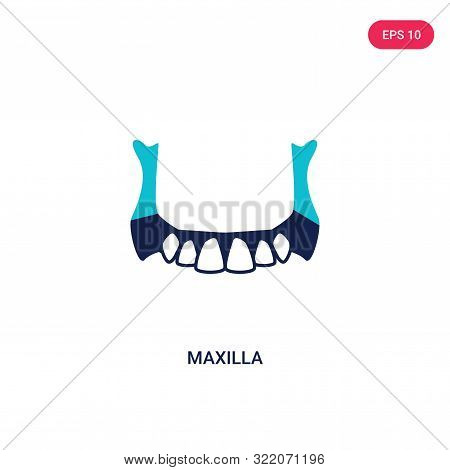 Maxilla Icon Two Vector & Photo (Free Trial) | Bigstock