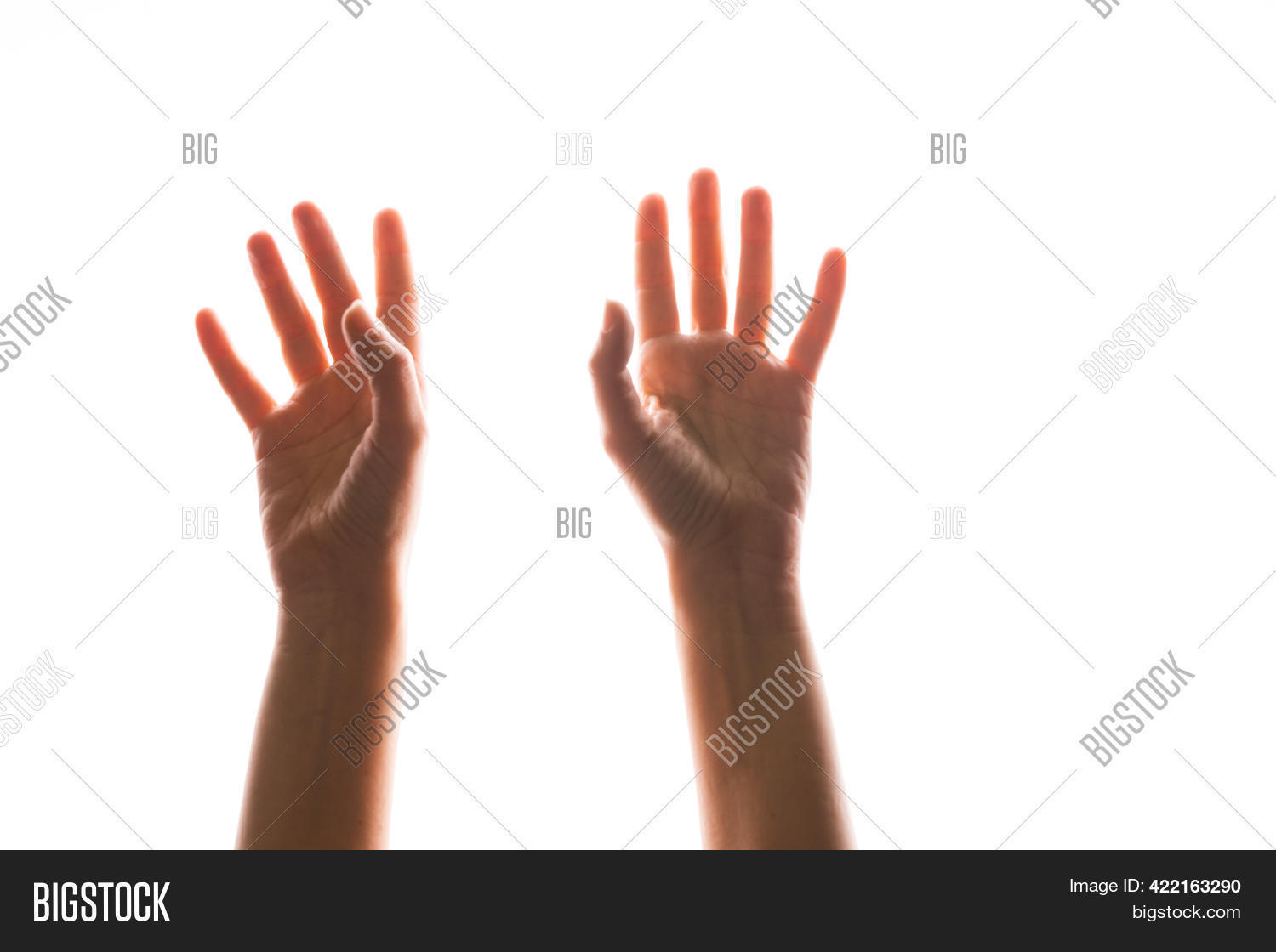 Hand Gestures. Elegant Image & Photo (Free Trial) | Bigstock