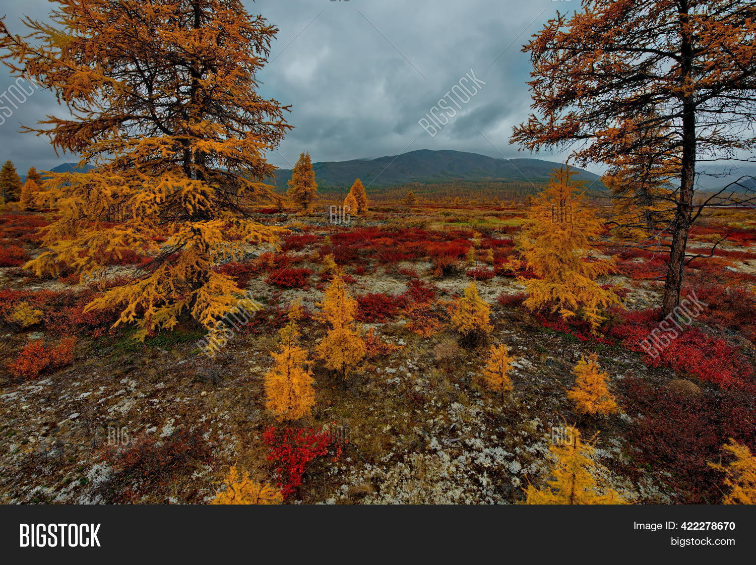 Russia. Magadan Region Image & Photo (Free Trial) | Bigstock