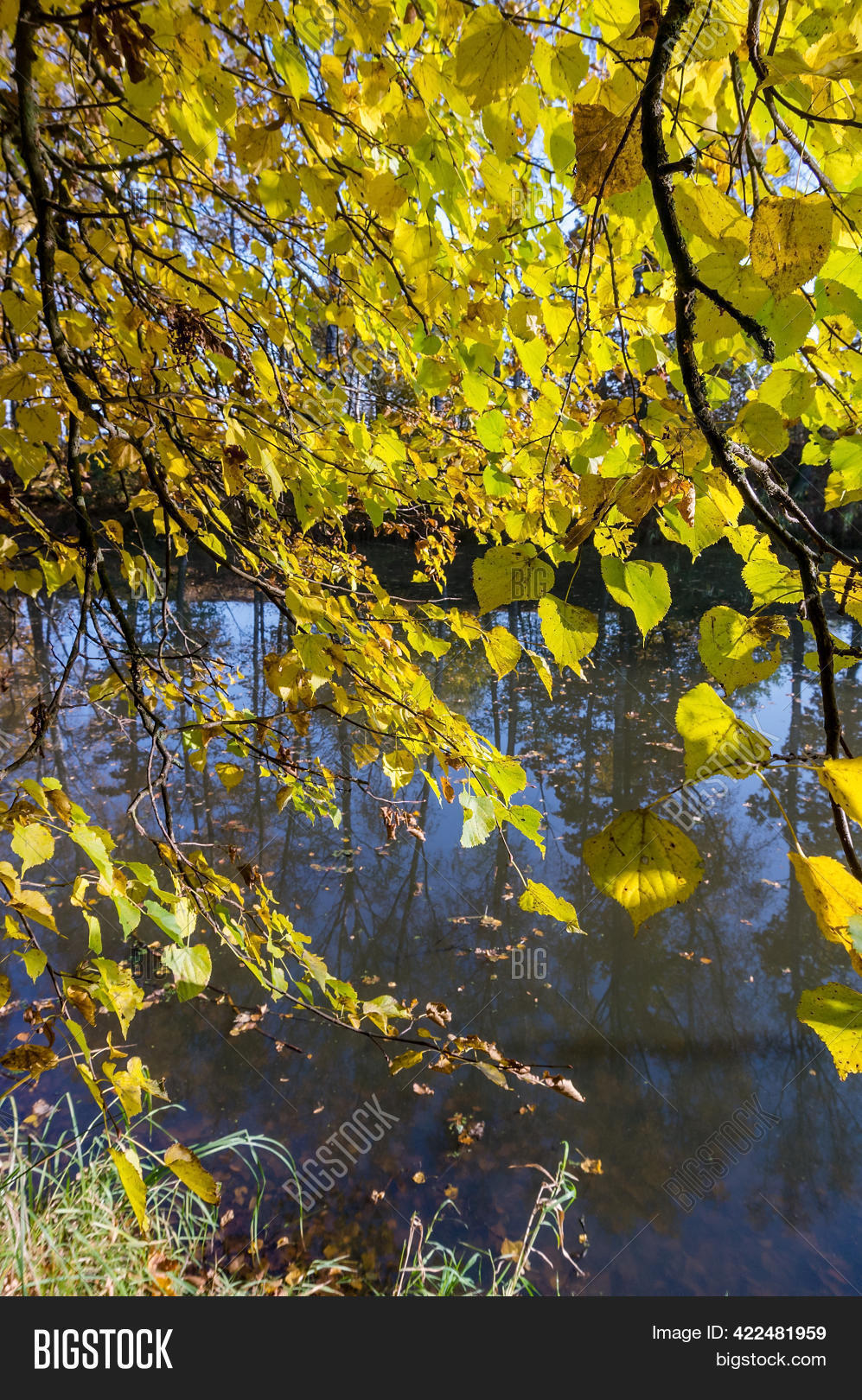 Forest Lake. Autumn Image & Photo (Free Trial) | Bigstock