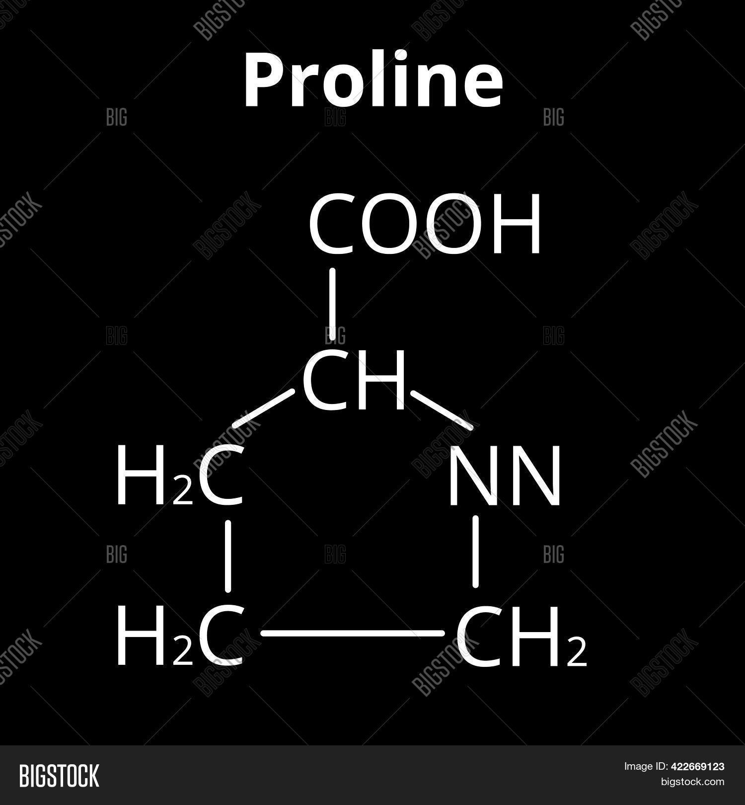 Proline Amino Acid