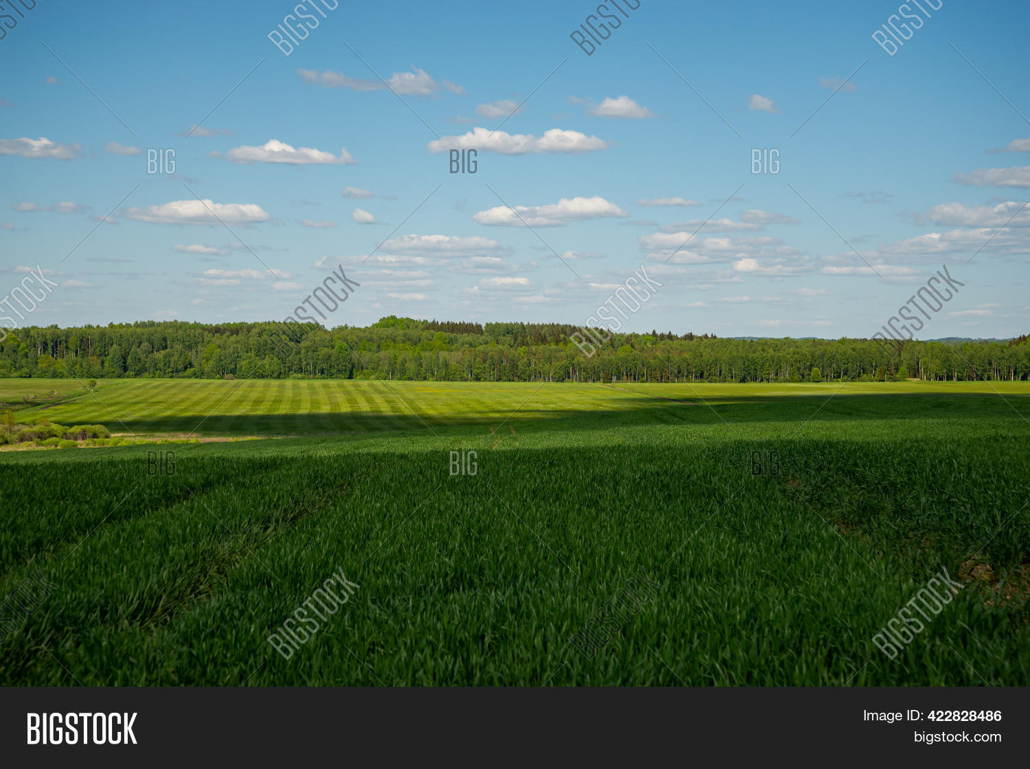 Idyllic Landscape, Image & Photo (Free Trial) | Bigstock