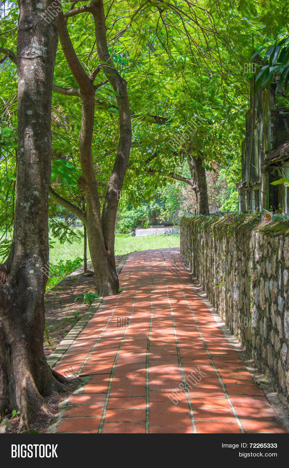 Long Corridor Garden Image & Photo (Free Trial) | Bigstock