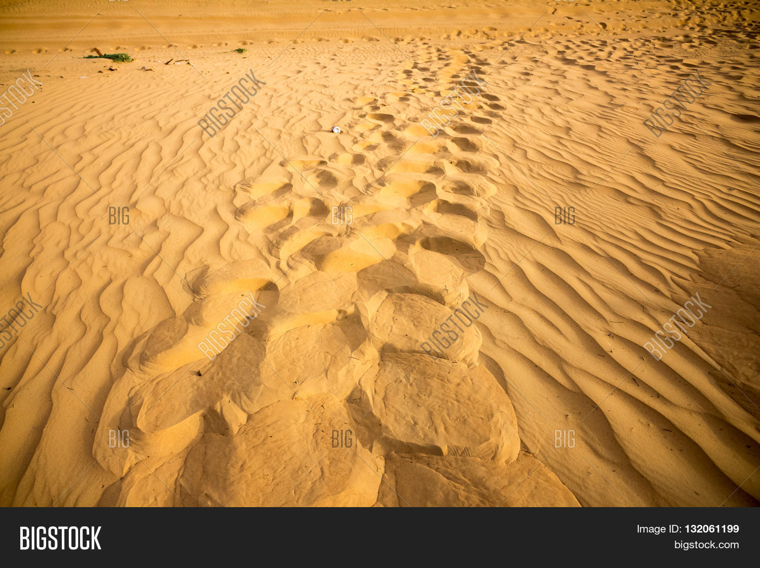 Footsteps On Desert Image & Photo (Free Trial) | Bigstock