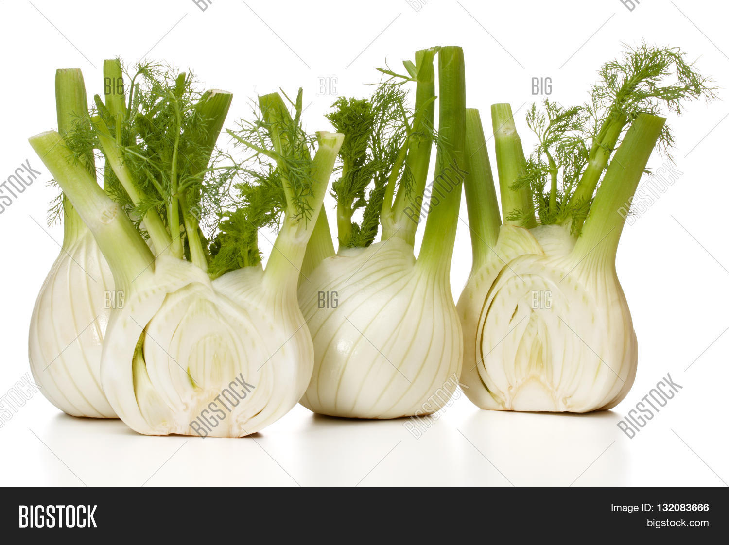 Fresh Fennel Bulb Image & Photo (Free Trial) | Bigstock