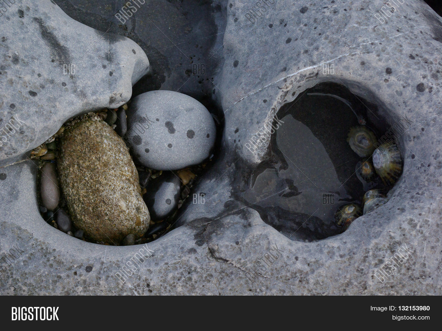 Close- Small Rockpool Image & Photo (Free Trial) | Bigstock