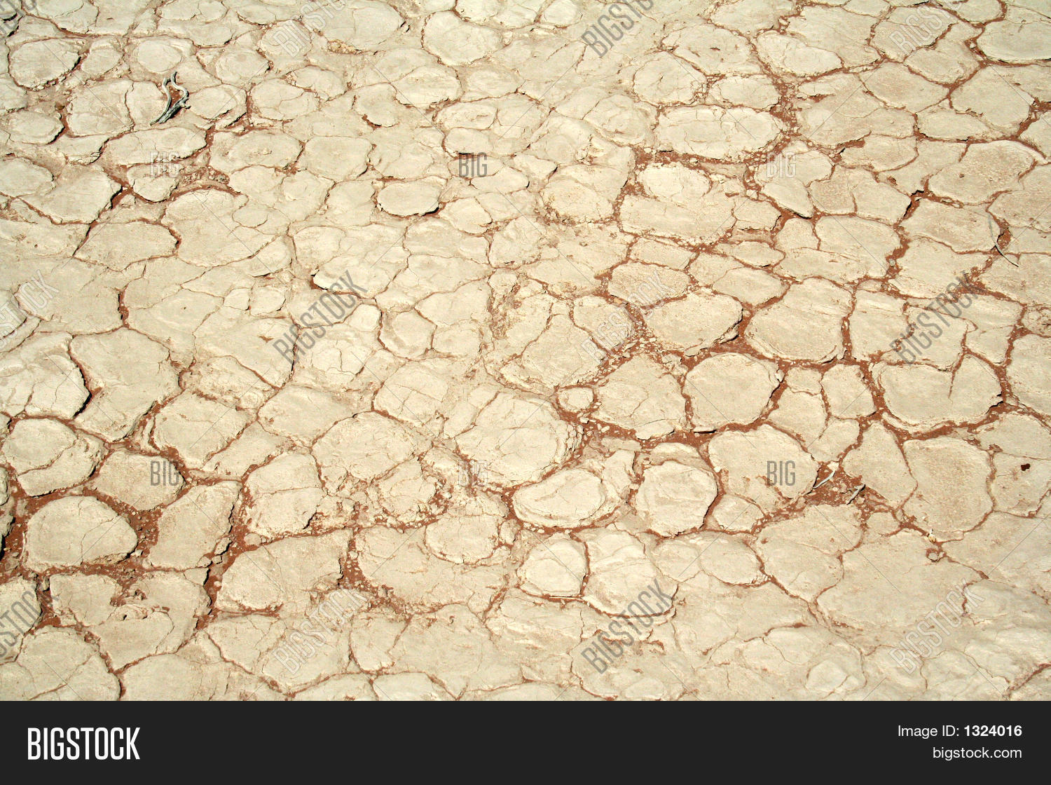 Dried Lake Bed Image & Photo (Free Trial) | Bigstock