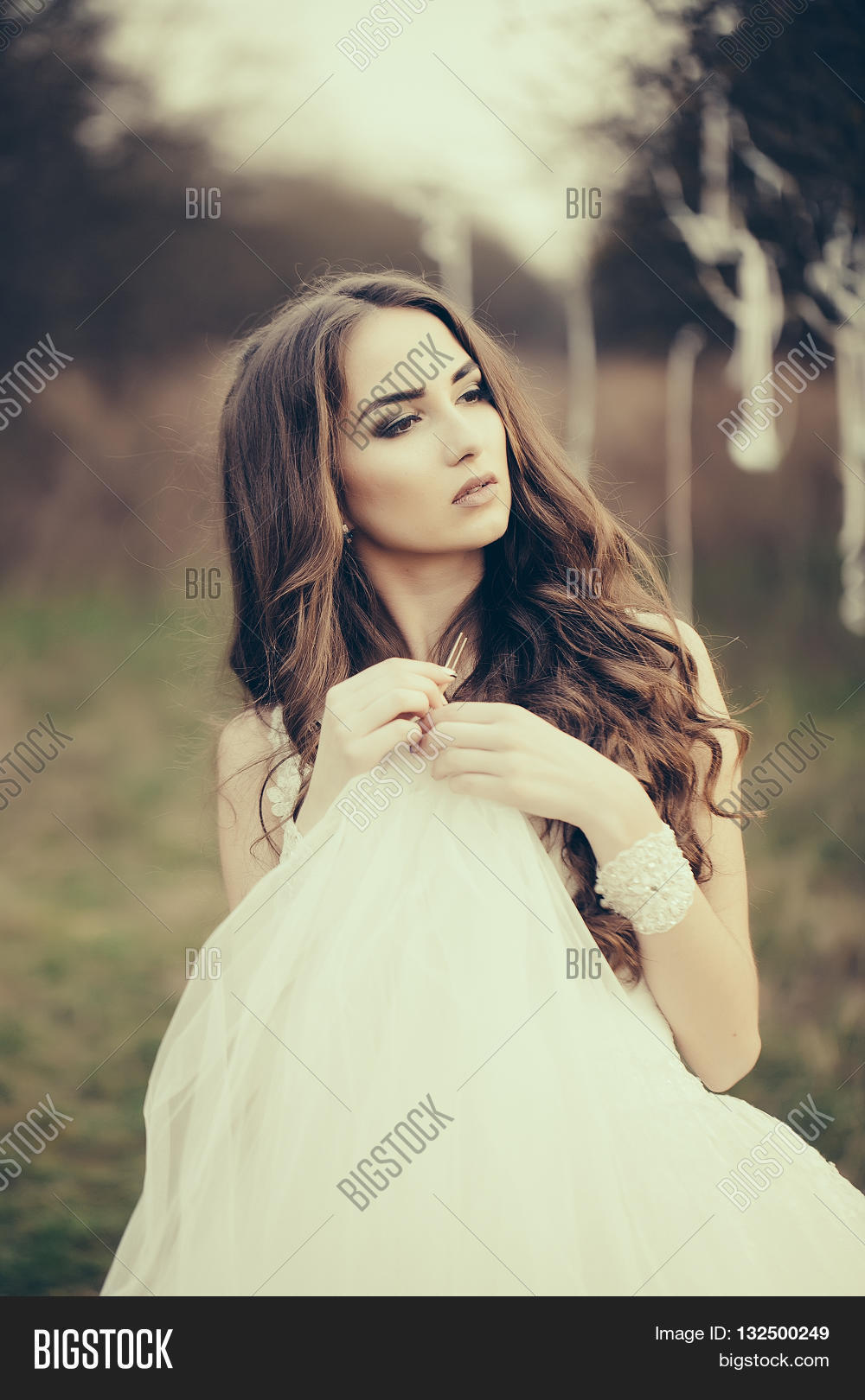 Beautiful Bride Image & Photo (Free Trial) | Bigstock