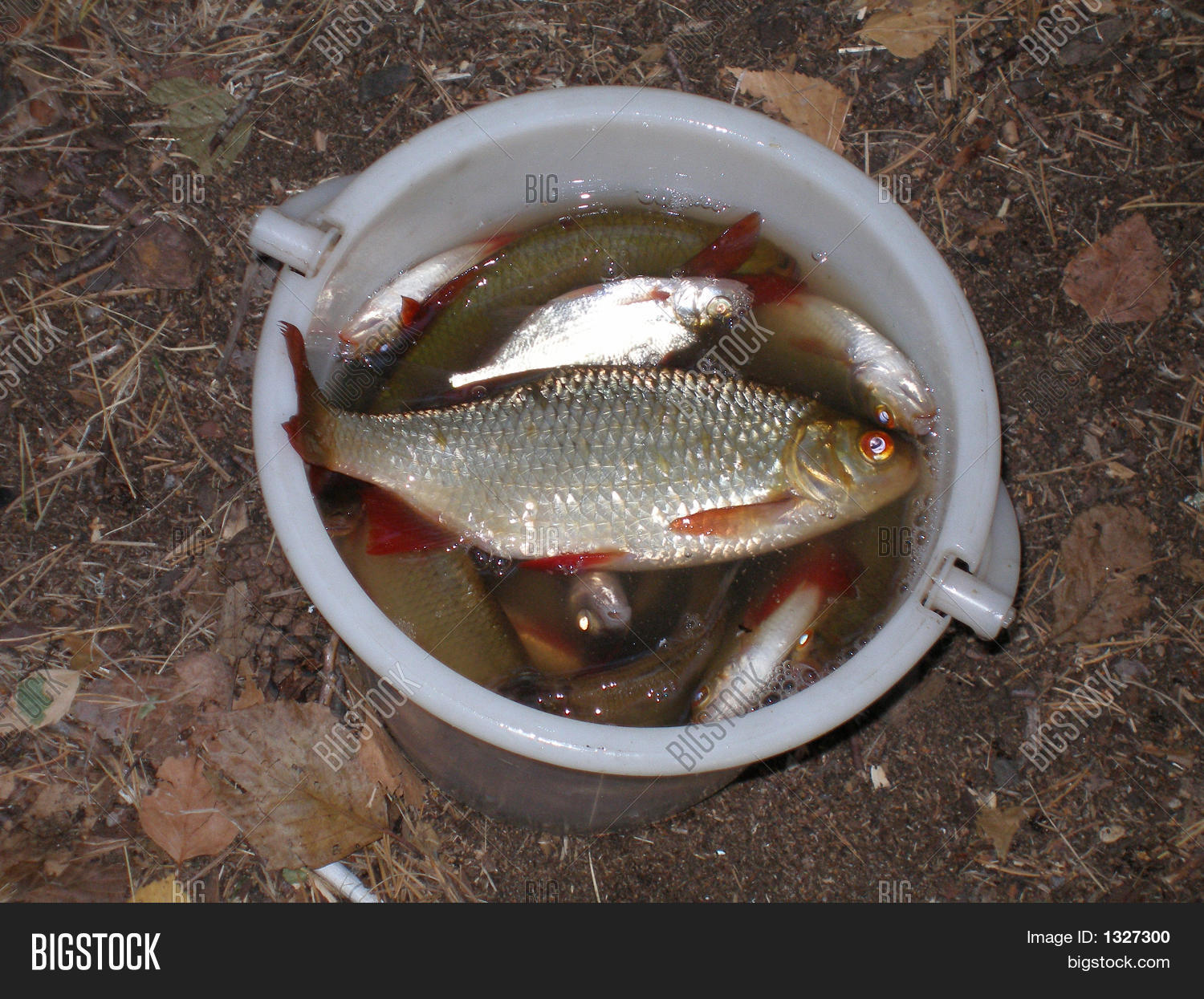 Fisherman Extraction Image & Photo (Free Trial) | Bigstock