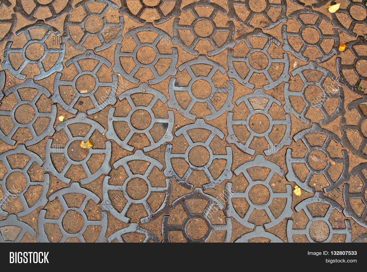 Cast Iron Pavement On Image & Photo (Free Trial) | Bigstock