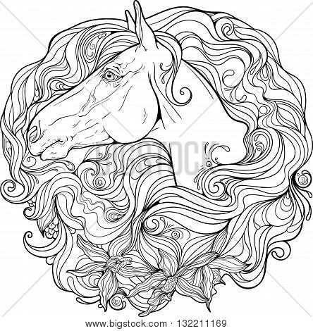 Portrait Horse Frame Vector & Photo (Free Trial) | Bigstock