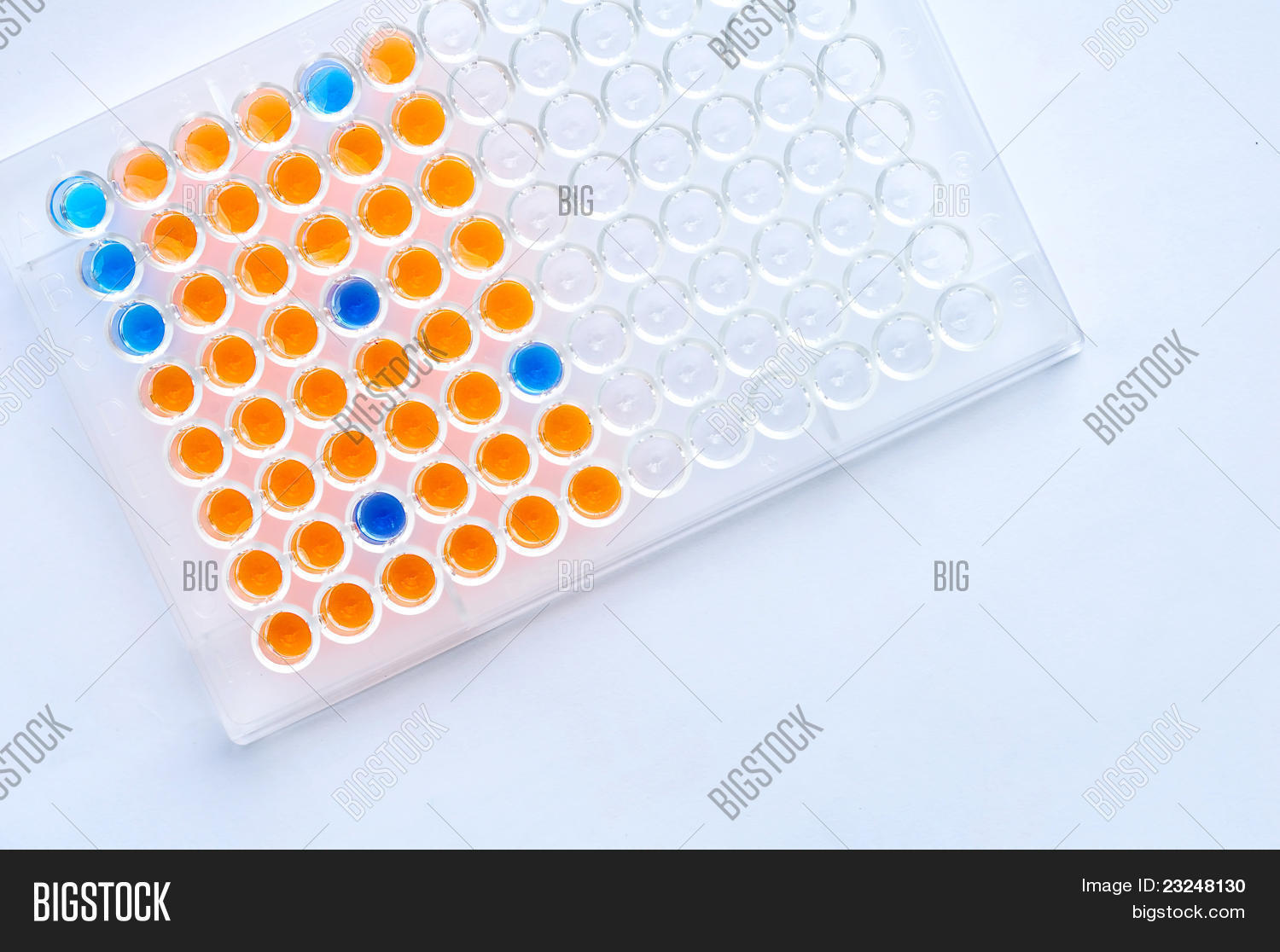 96 Wells Plate Image & Photo (Free Trial) | Bigstock